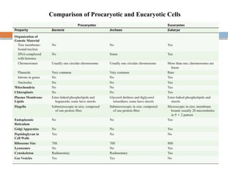 Eukaryotic cell structure and function.pptx