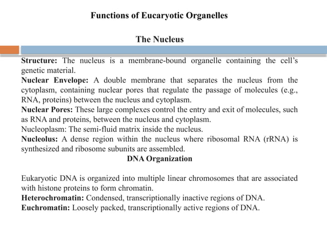 Eukaryotic cell structure and function.pptx