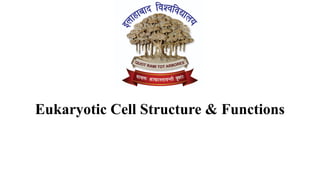 Eukaryotic Cell Structure and Functions.pptx
