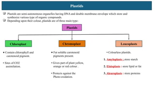 Eukaryotic Cell Structure and Functions.pptx
