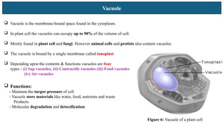 Eukaryotic Cell Structure and Functions.pptx