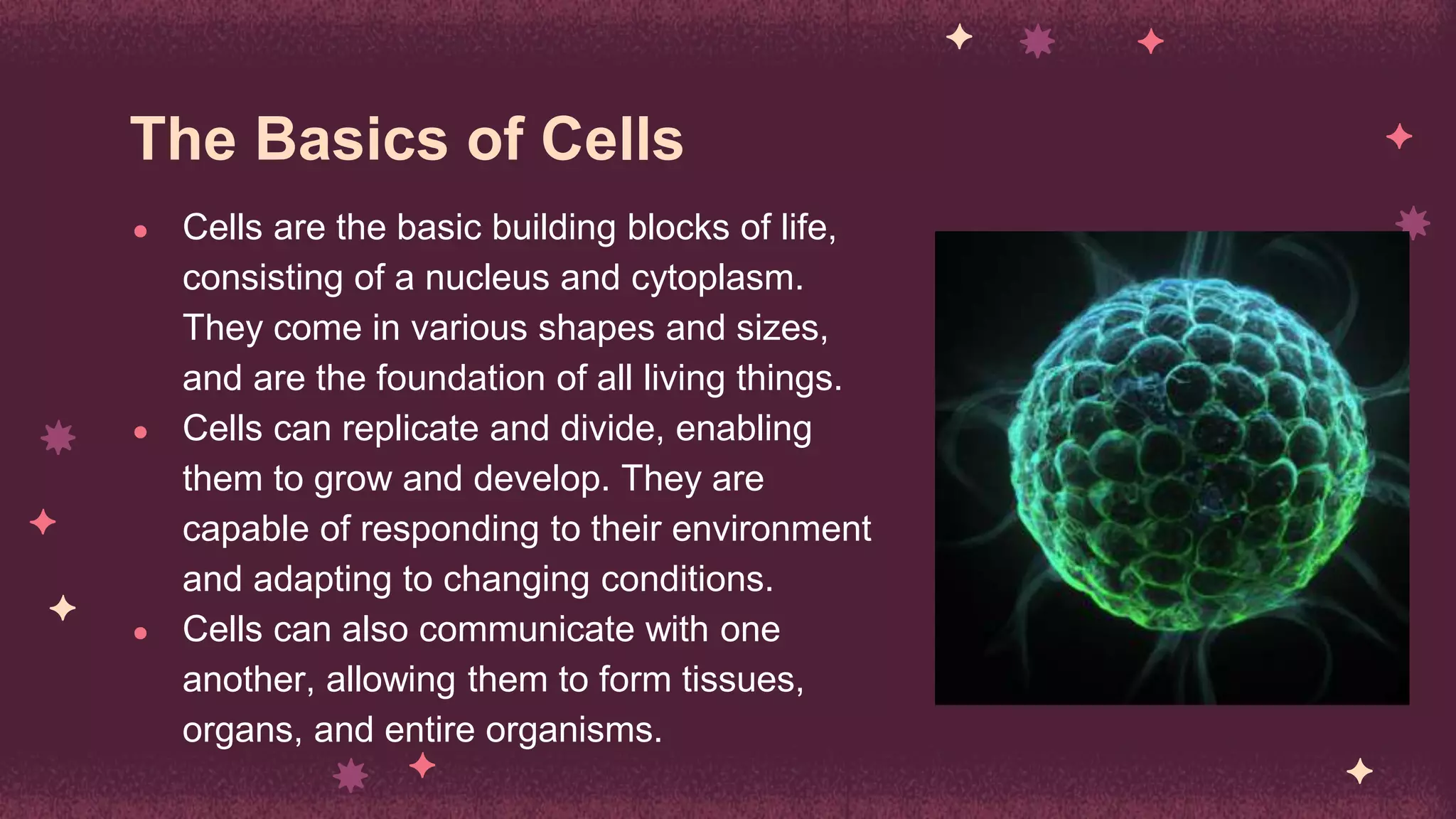 EUKARYOTIC CELL STRUCTURES AND FUNCTIONS.pptx