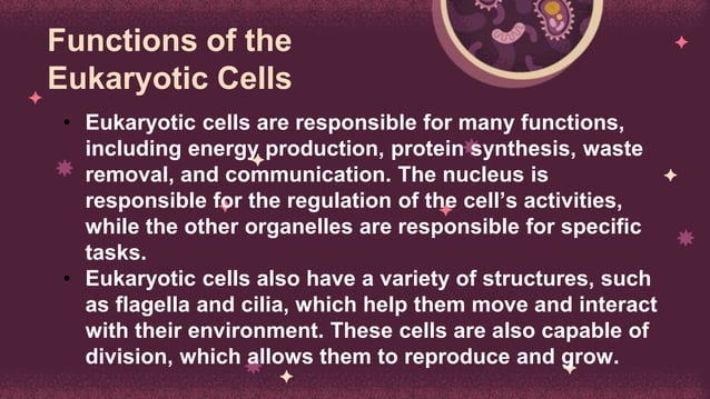 EUKARYOTIC CELL STRUCTURES AND FUNCTIONS.pptx