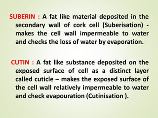Eukaryotic cell wall | PPTX