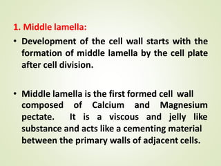 Eukaryotic cell wall | PPTX