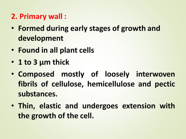 Eukaryotic cell wall | PPTX | Biological Sciences | Science