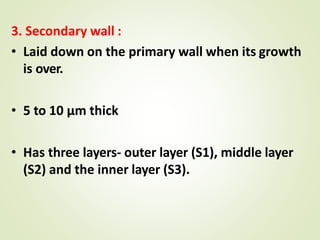 Eukaryotic cell wall | PPTX