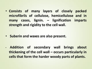 Eukaryotic cell wall | PPTX