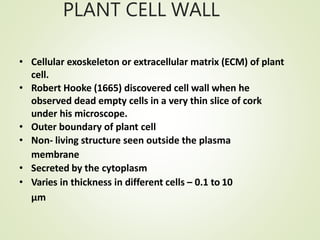 Eukaryotic cell wall | PPTX