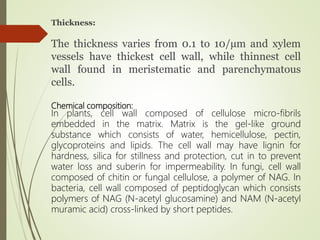 Eukaryotic cell wall | PPTX