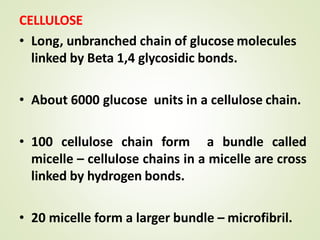 Eukaryotic cell wall | PPTX