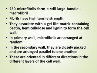 Eukaryotic cell wall | PPTX
