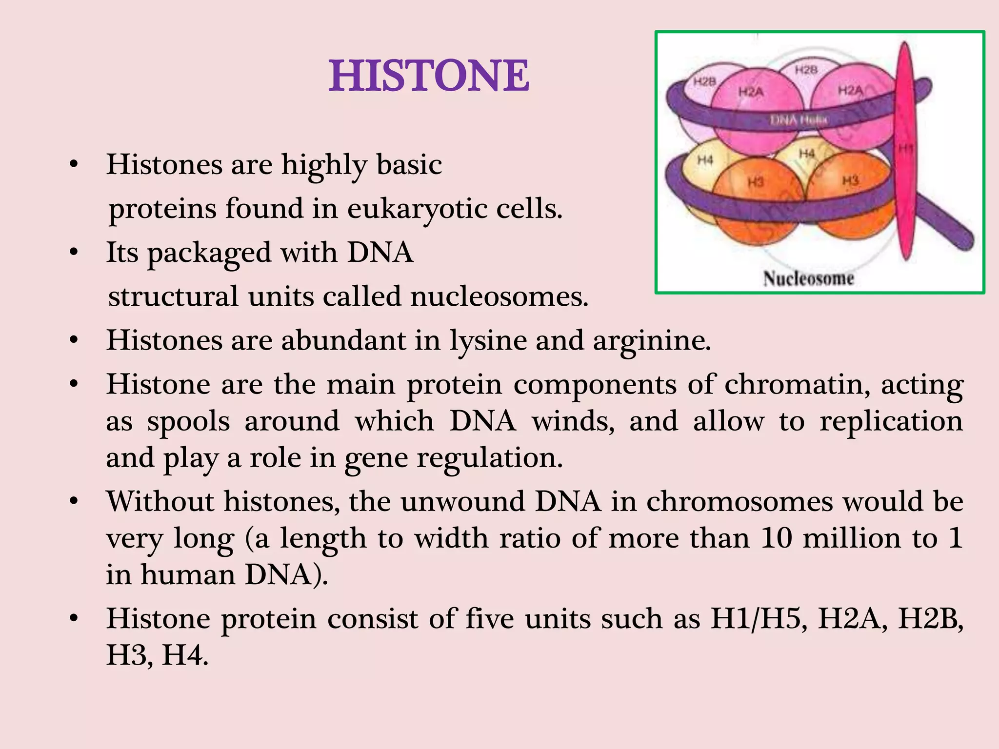 Eukaryotic chromosomal organization | PPTX