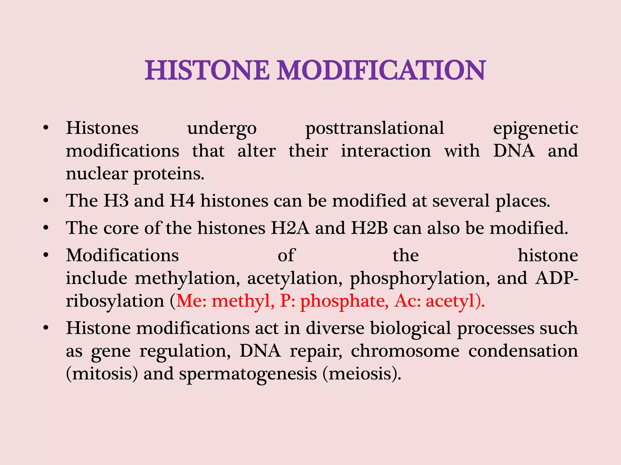 Eukaryotic chromosomal organization | PPTX