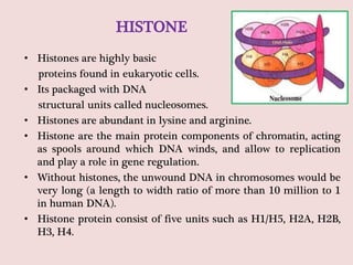 Eukaryotic chromosomal organization | PPTX