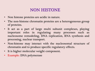 Eukaryotic chromosomal organization | PPTX