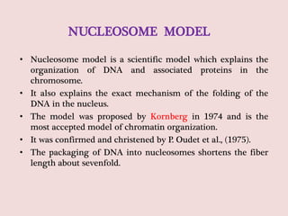 Eukaryotic chromosomal organization | PPTX