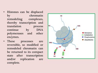 Eukaryotic chromosomal organization | PPTX