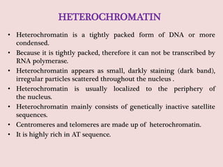 Eukaryotic chromosomal organization | PPTX