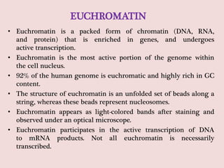 Eukaryotic chromosomal organization | PPTX