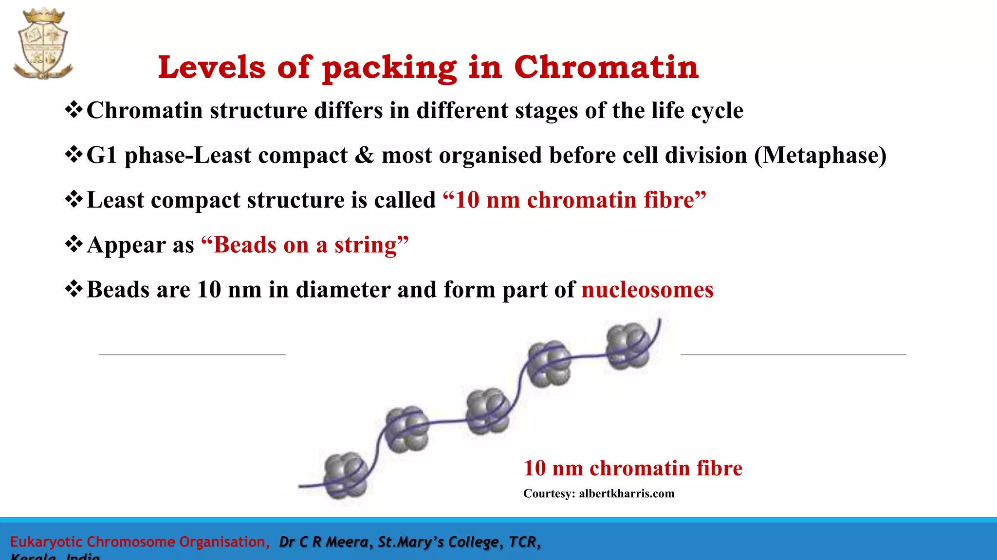 Eukaryotic Chromosome Organisation | PPTX