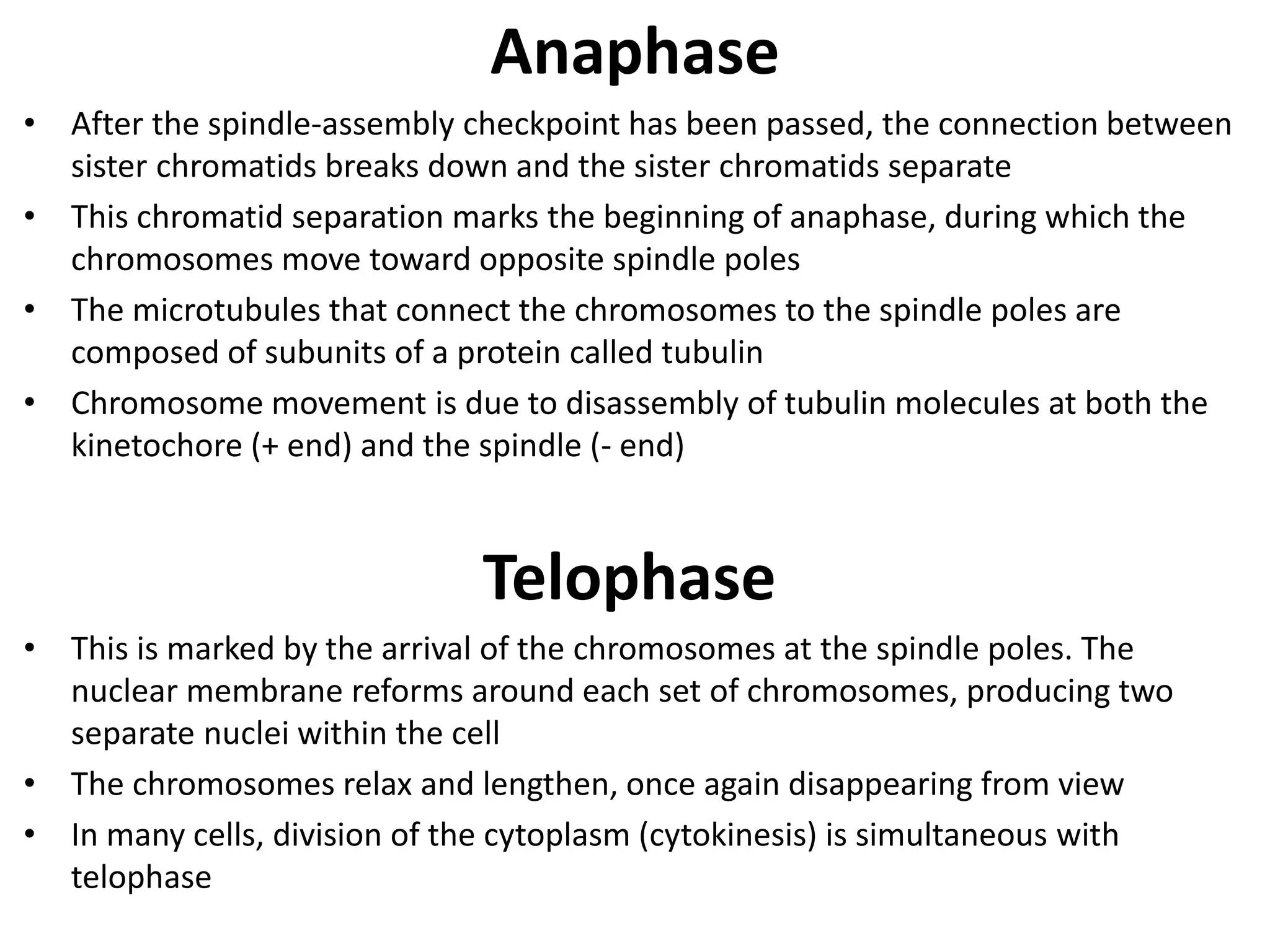 Eukaryotic chromosomes.pdf