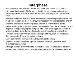 Eukaryotic chromosomes.pdf