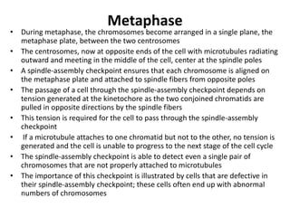Eukaryotic chromosomes.pdf