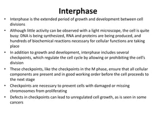 Eukaryotic chromosomes.pdf