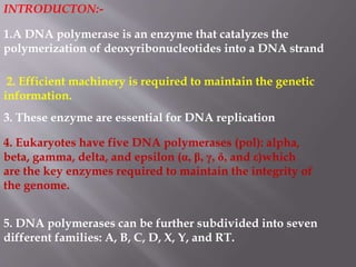 Eukaryotic dna polymerase pptx | PPTX