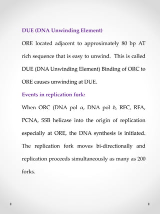 Eukaryotic DNA replication | PPTX