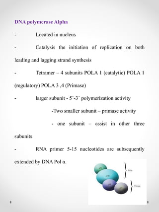 Eukaryotic DNA replication | PPTX