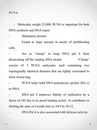 Eukaryotic DNA replication | PPTX