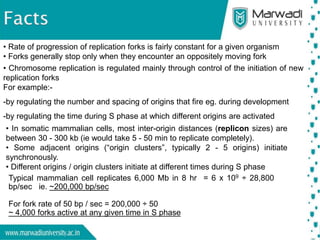 Eukaryotic dna replication | PPTX