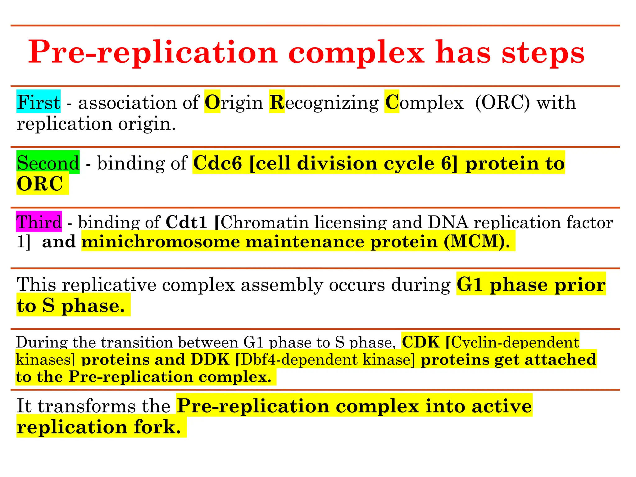 EUKARYOTIC DNA REPLICATION.pptx pharmacology | PPTX