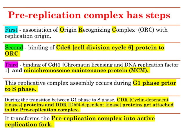 EUKARYOTIC DNA REPLICATION.pptx pharmacology | PPTX