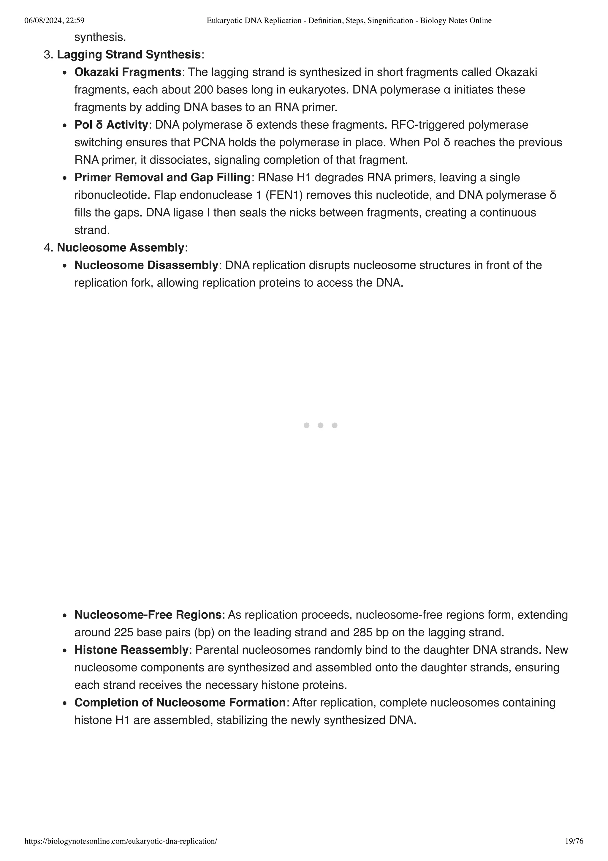 Eukaryotic DNA Replication - Definition, Steps, Singnification ...