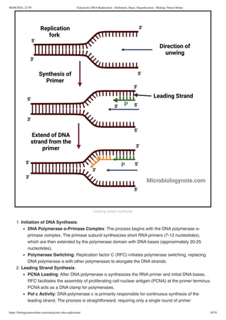 Eukaryotic DNA Replication - Definition, Steps, Singnification ...