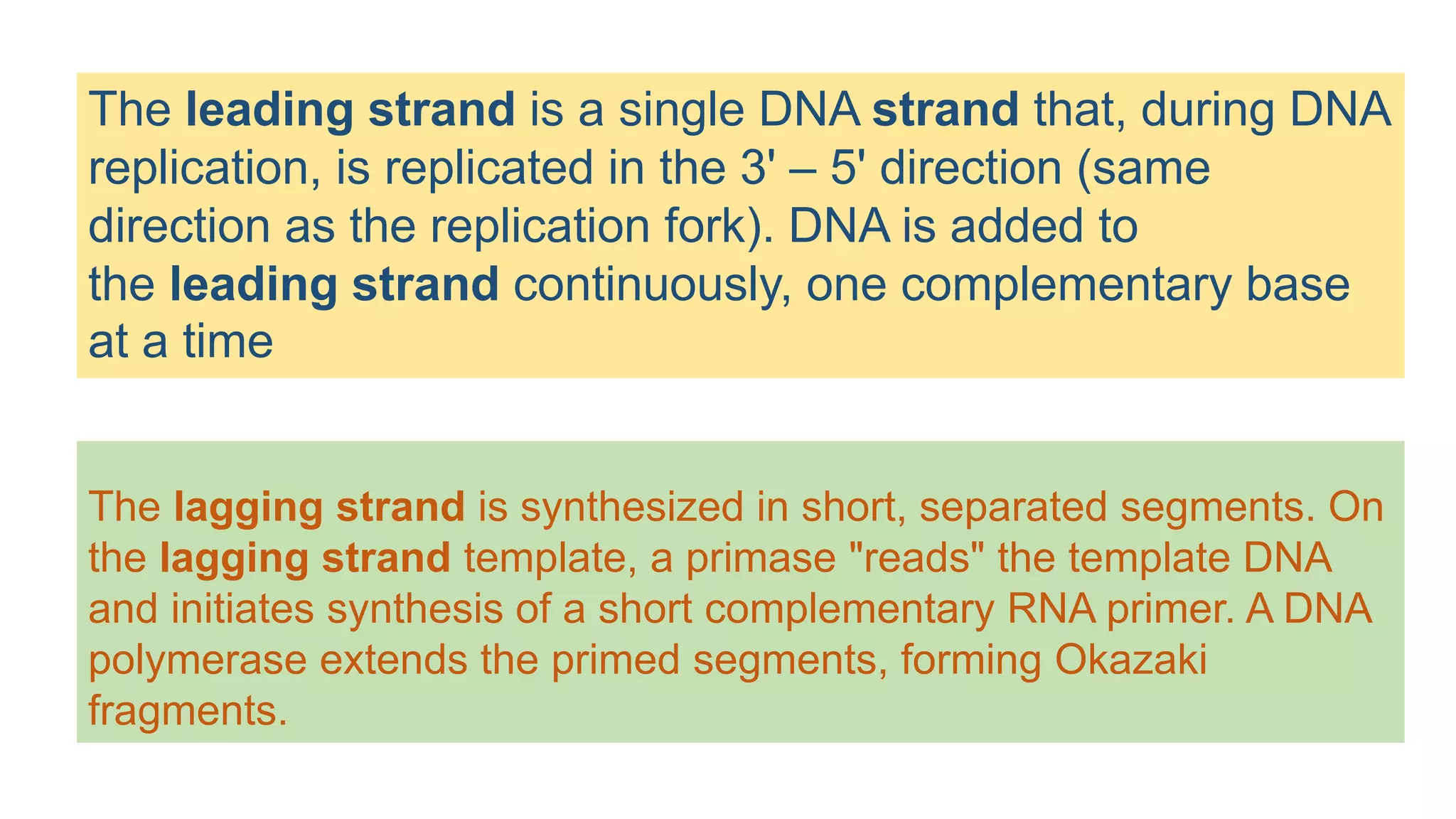 Eukaryotic dna replication jackson chary | PPTX
