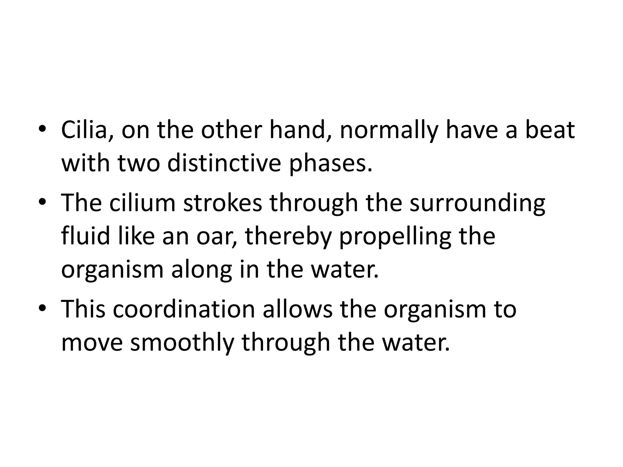 Eukaryotic flagella and cilia | PPTX