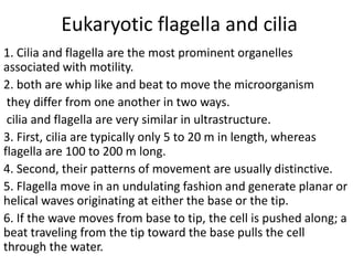 Eukaryotic flagella and cilia | PPTX
