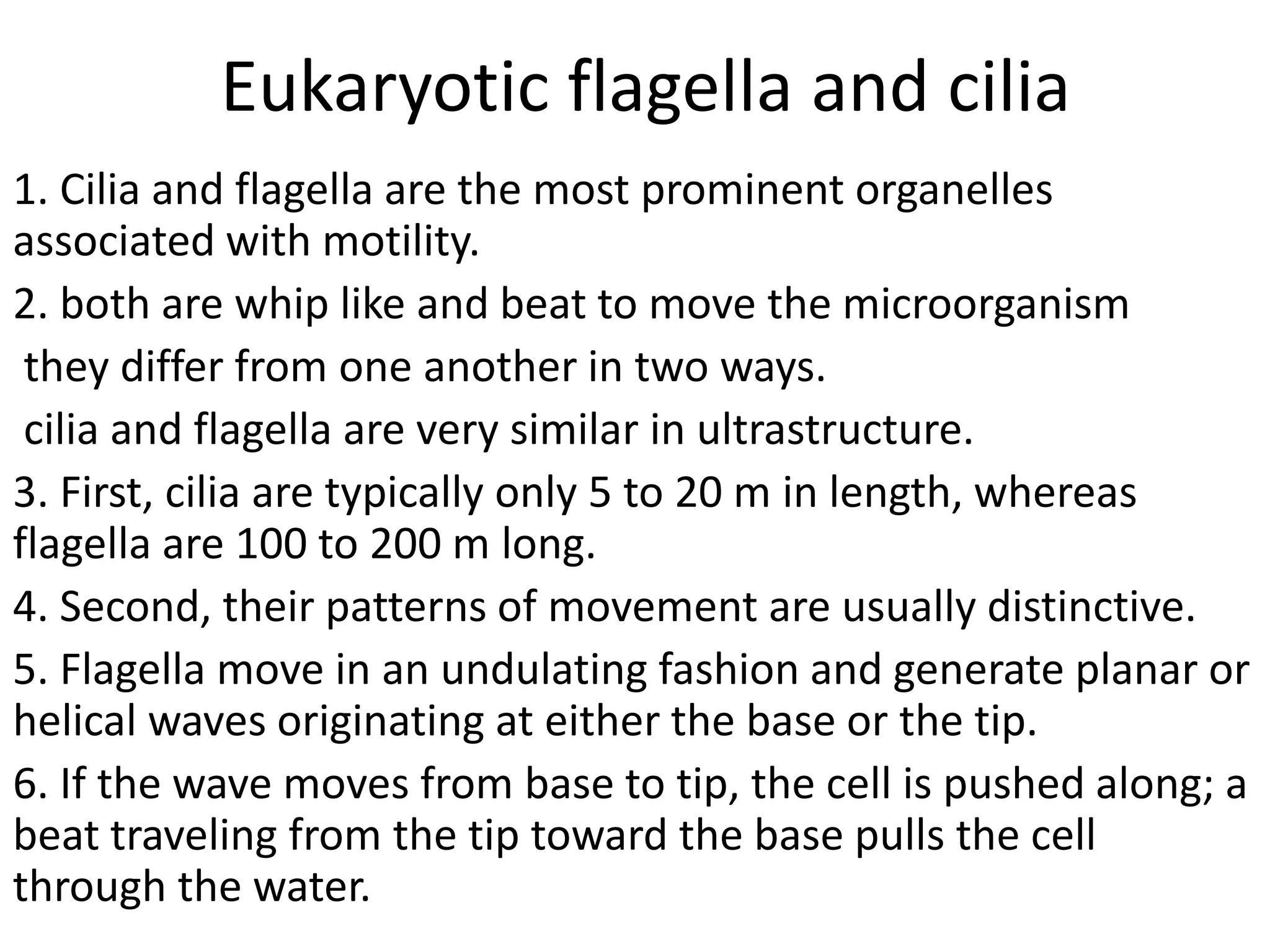 Eukaryotic flagella and cilia | PPT