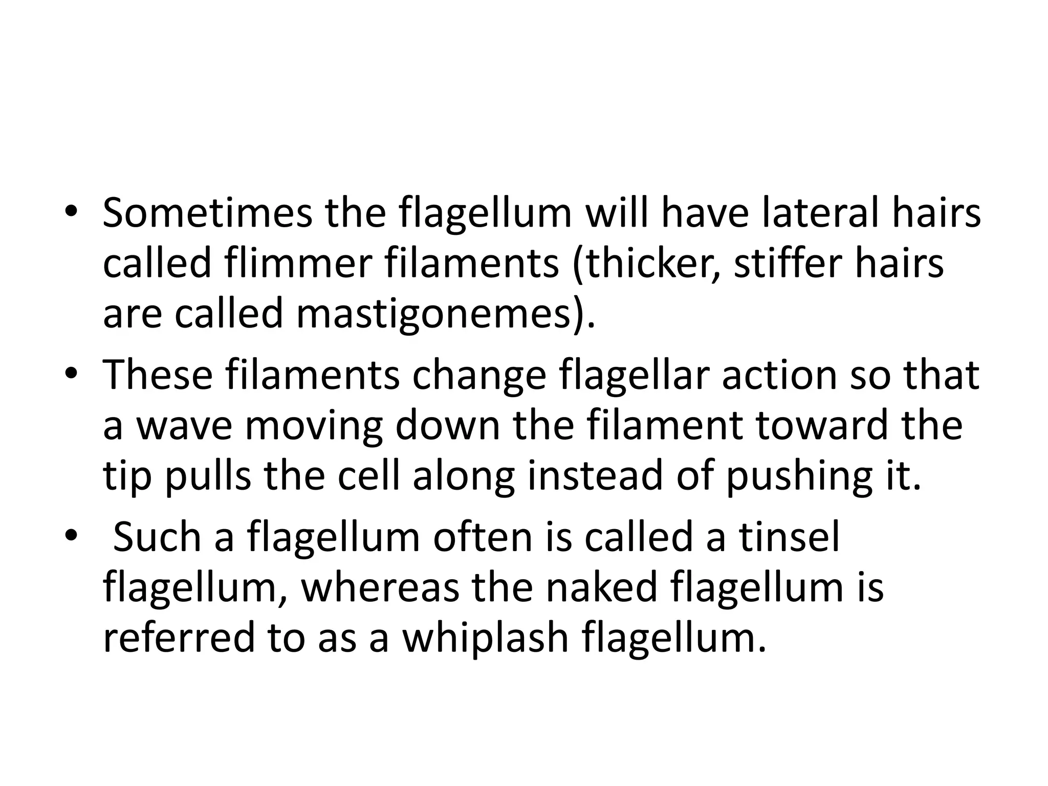 Eukaryotic flagella and cilia | PPT