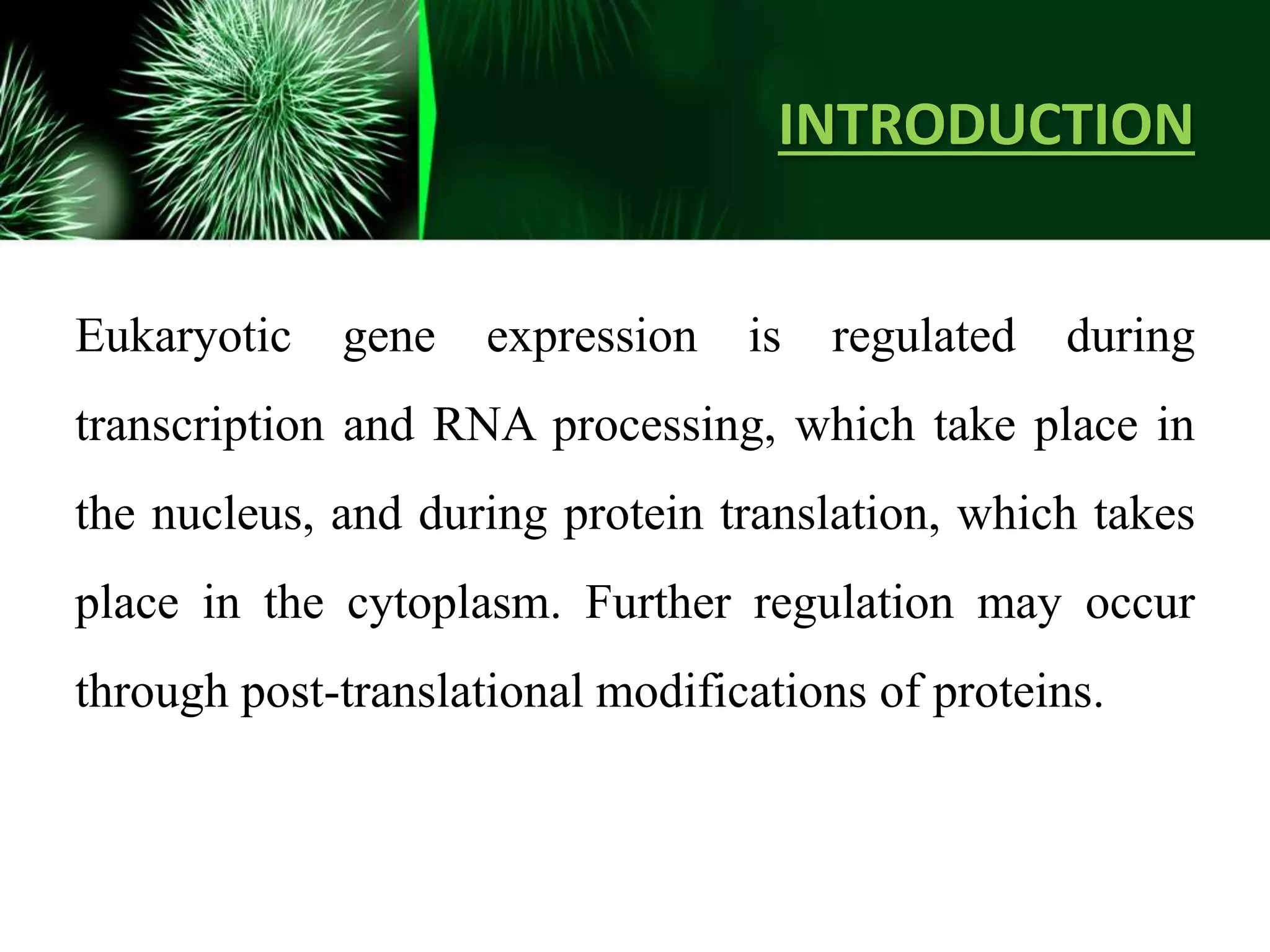 Eukaryotic gene expression | PPTX