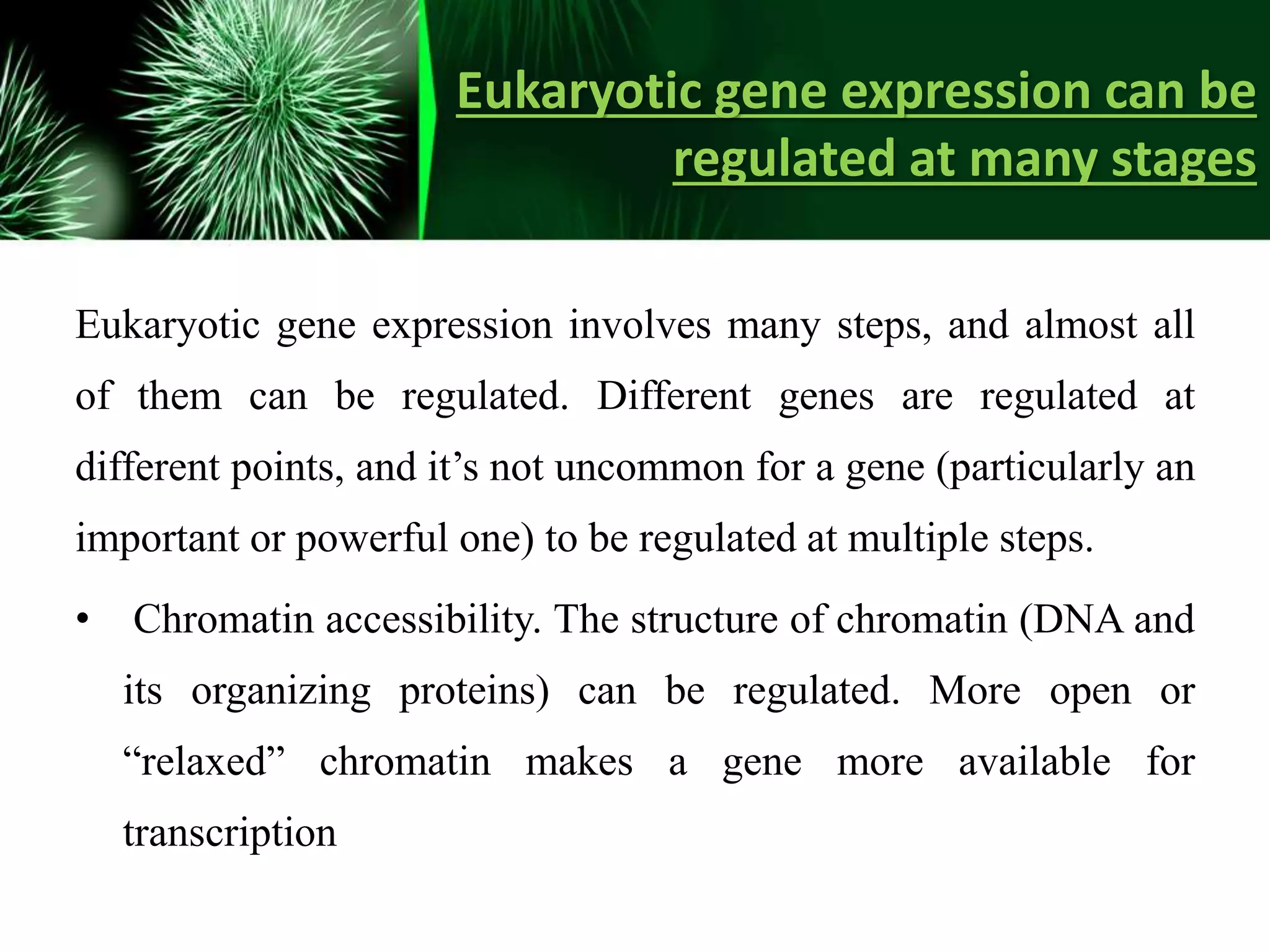Eukaryotic gene expression | PPTX