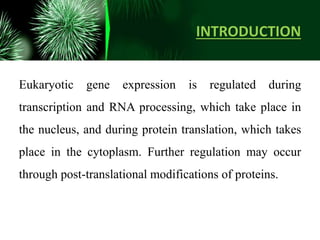 Eukaryotic gene expression | PPT