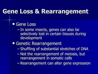 Eukaryotic Gene Regulation | PPT