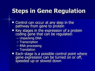 Eukaryotic Gene Regulation | PPT