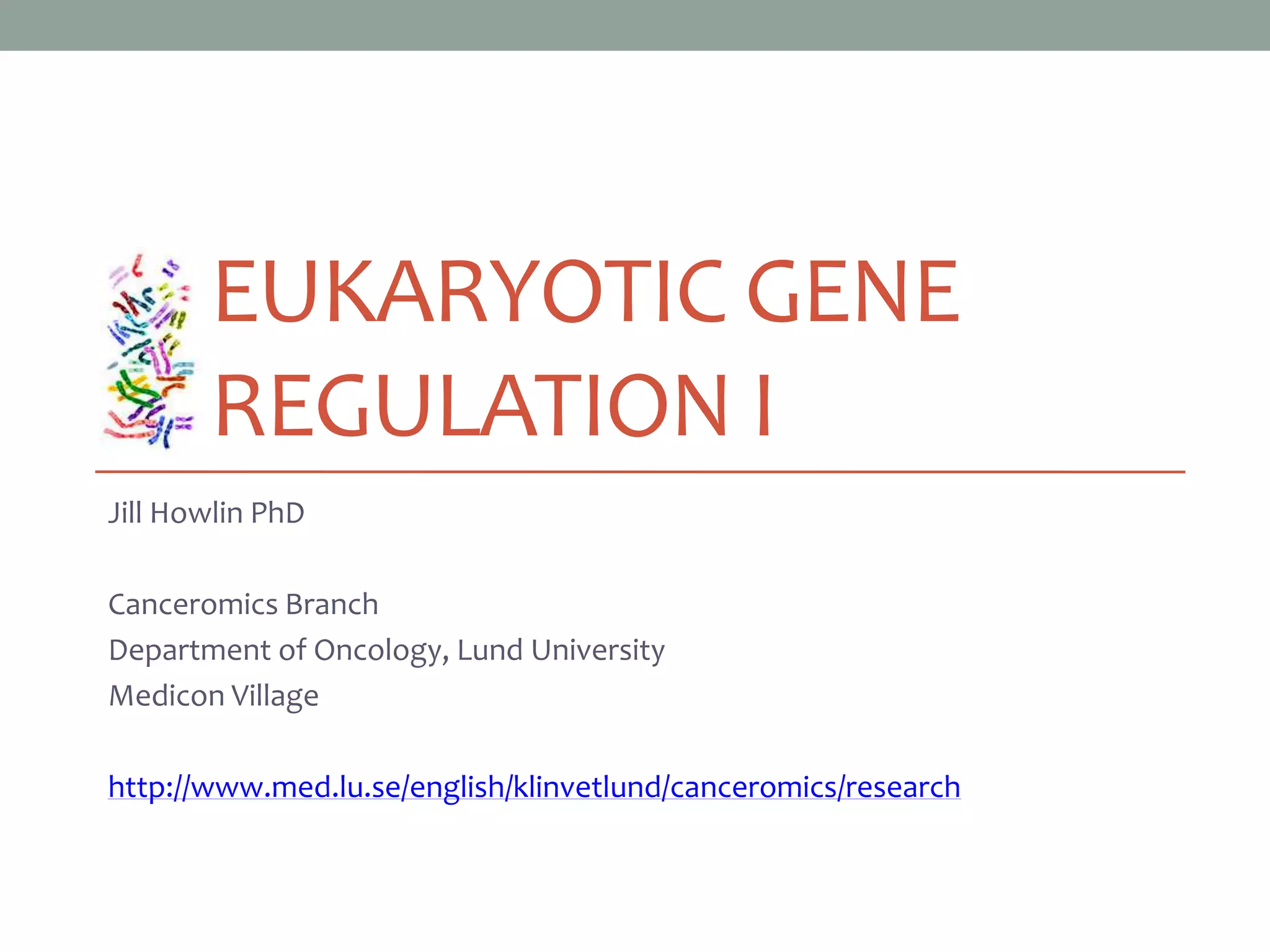 Eukaryotic gene regulation I 2013 | PPTX