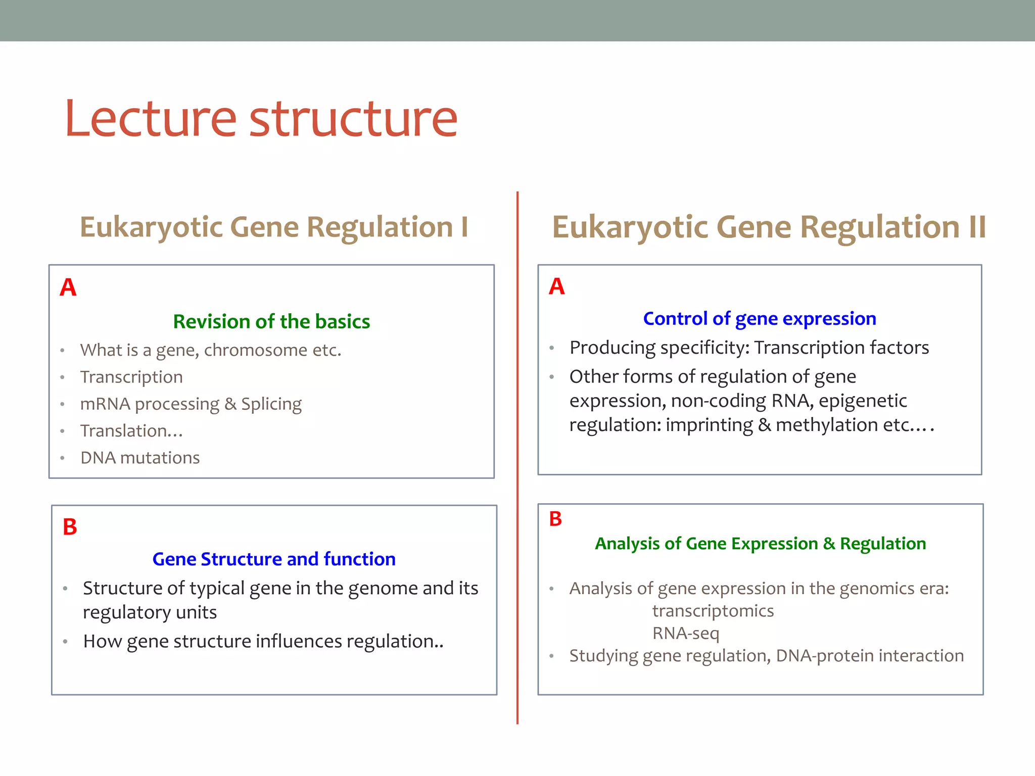 Eukaryotic gene regulation I 2013 | PPTX